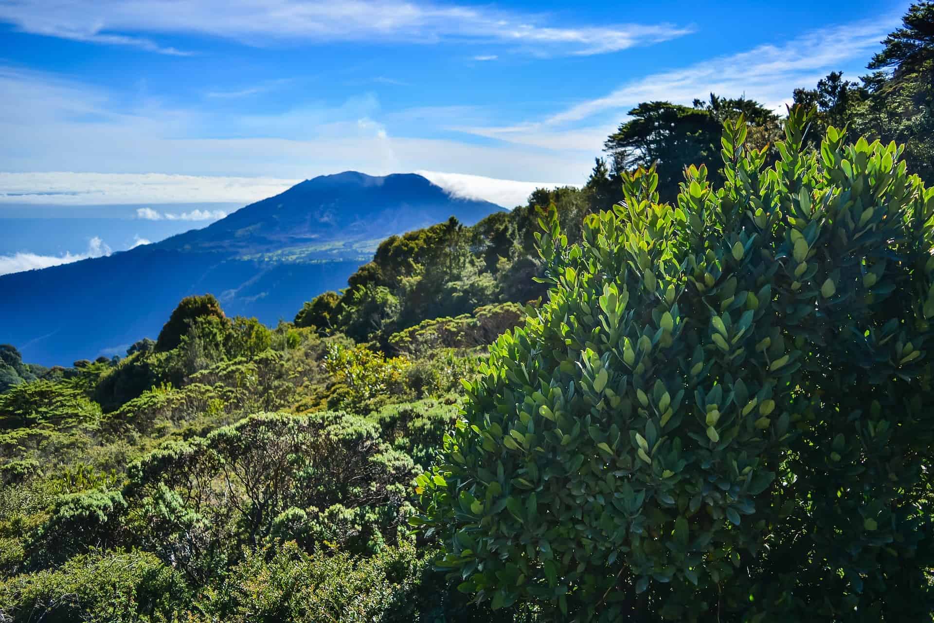Costa Rica Currency Exchange Tips Travel Dudes