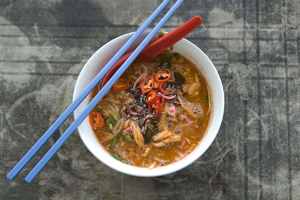 Signature Malaysian Dishes to Try - Travel Dudes