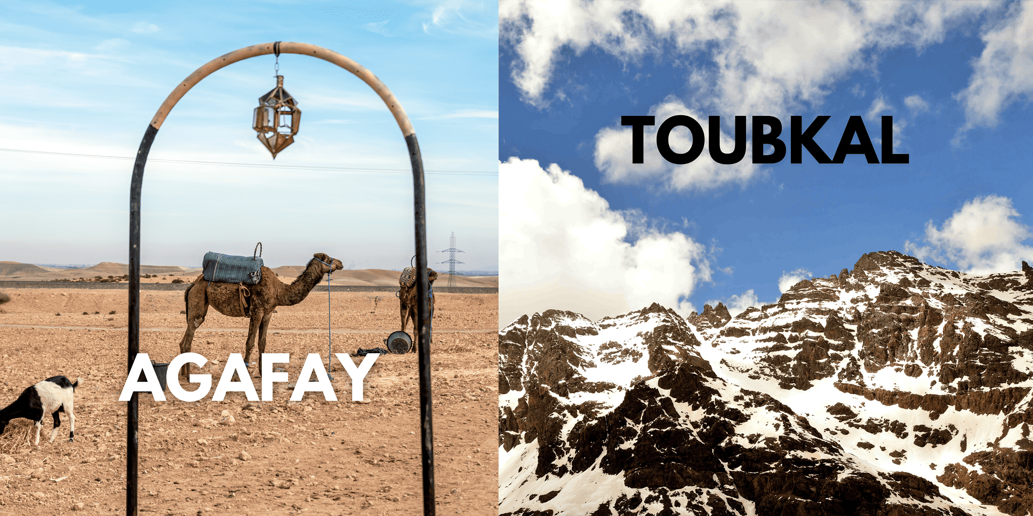 Your Ultimate Guide To Visiting Marrakech Travel Dudes