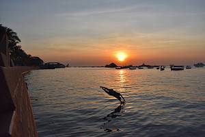 Forodhani Garden: Where Zanzibar's Heart Beats - Travel Dudes