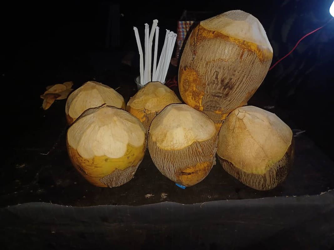 Forodhani Garden: Where Zanzibar's Heart Beats - Travel Dudes