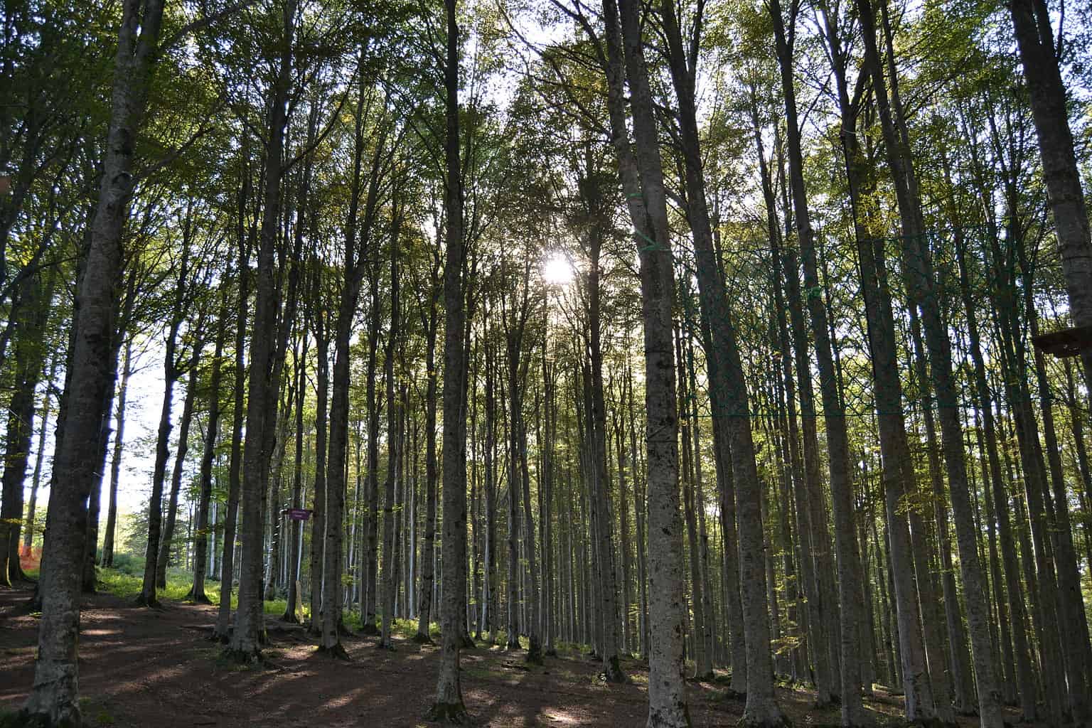 Things To Do in Monte Amiata in Tuscany - Travel Dudes