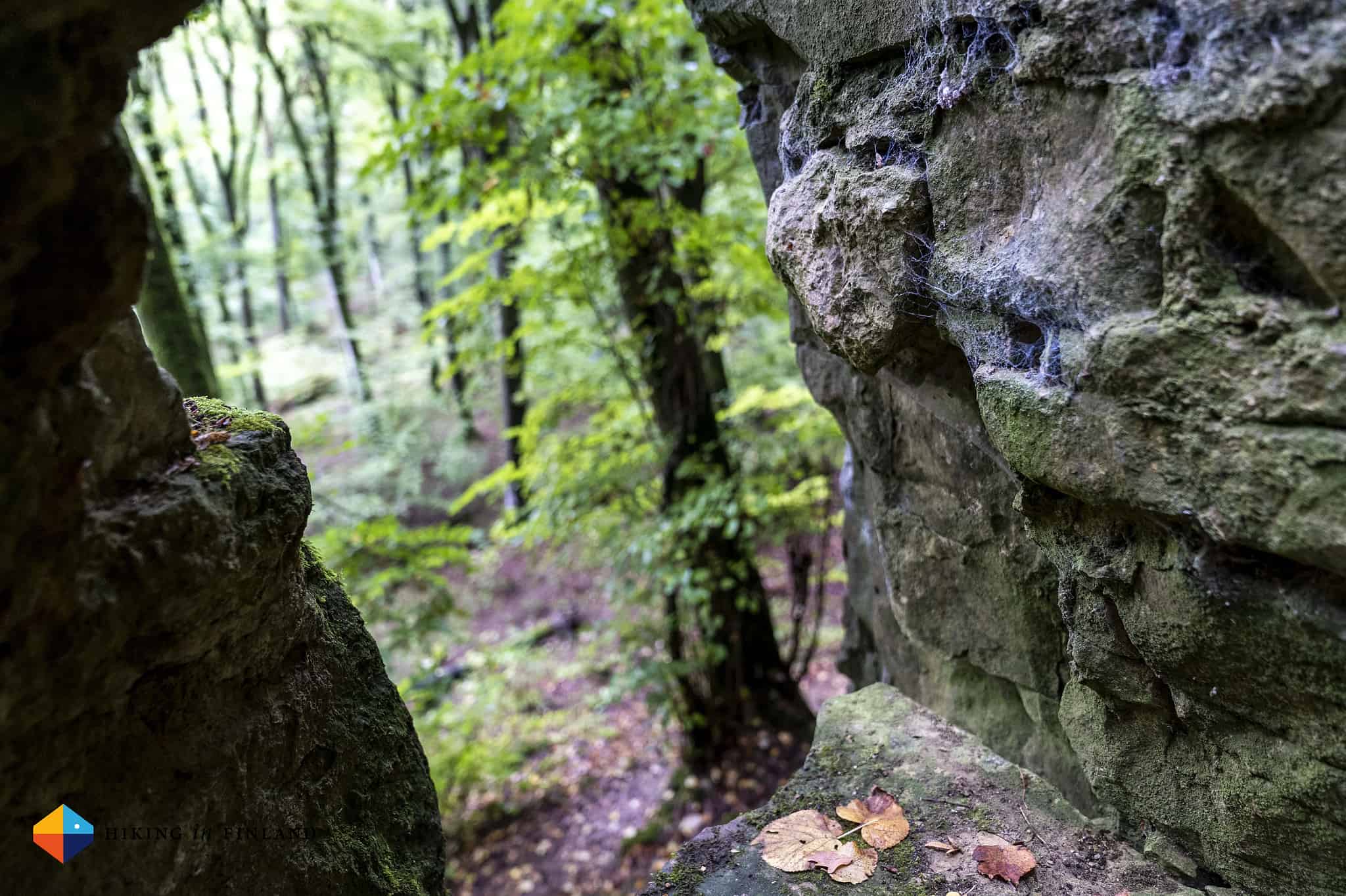 Hiking on the Mullerthal Trail in Luxembourg - Travel Dudes
