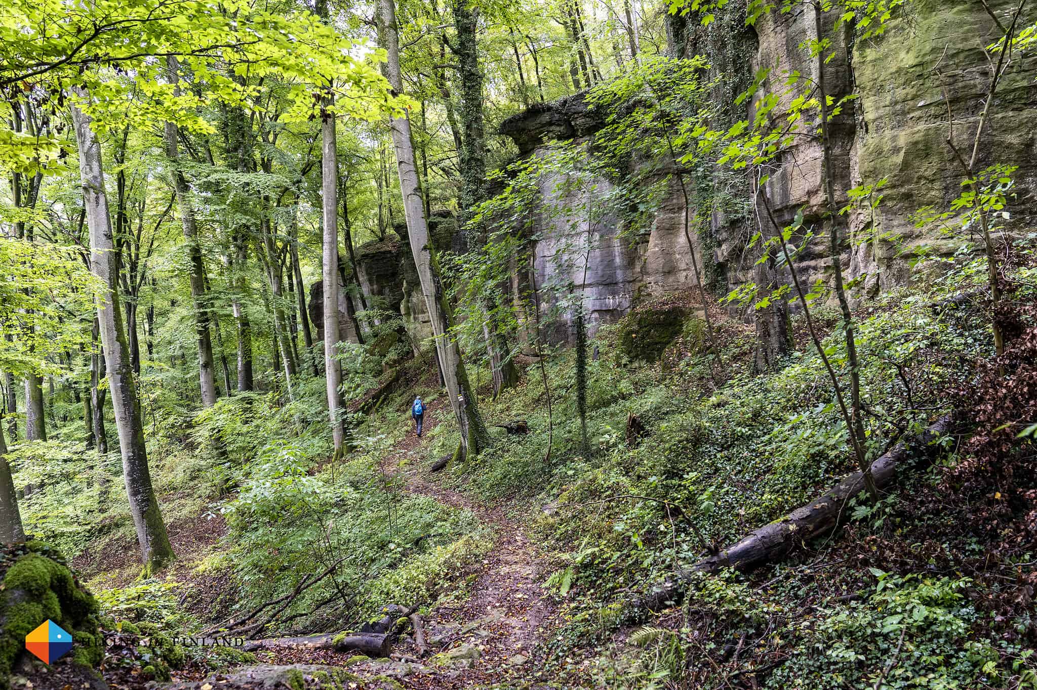 Hiking on the Mullerthal Trail in Luxembourg - Travel Dudes