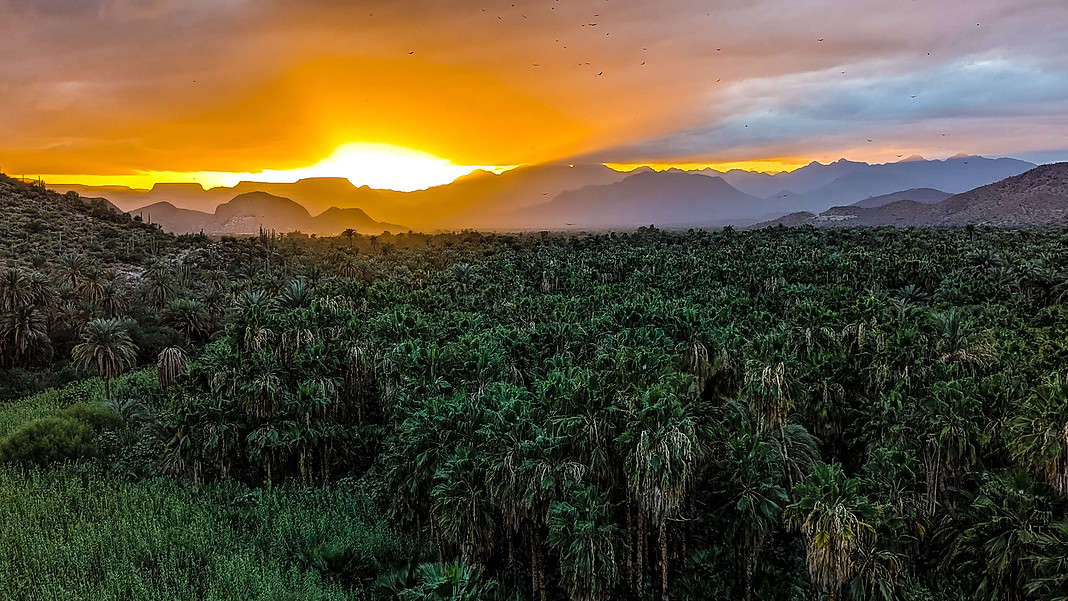 Explore the Region of Loreto and Baja California Sur, Mexico - Travel Dudes
