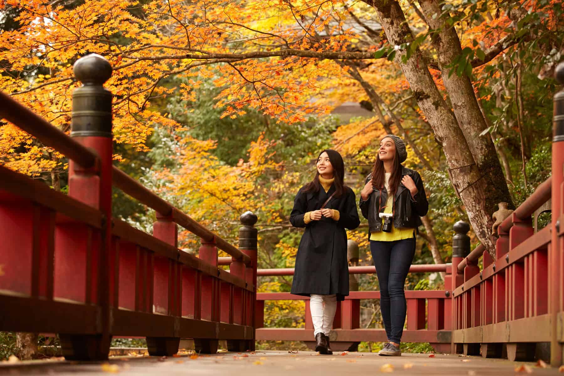 Navigating Internet Access in Japan: A Traveler's Guide - Travel Dudes