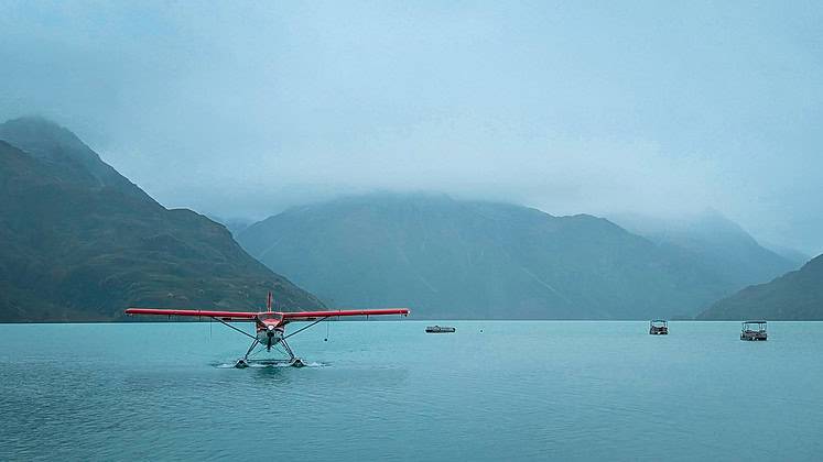 Soar Over Spectacular Landscapes: Your Guide to Bear Viewing in Alaska ...