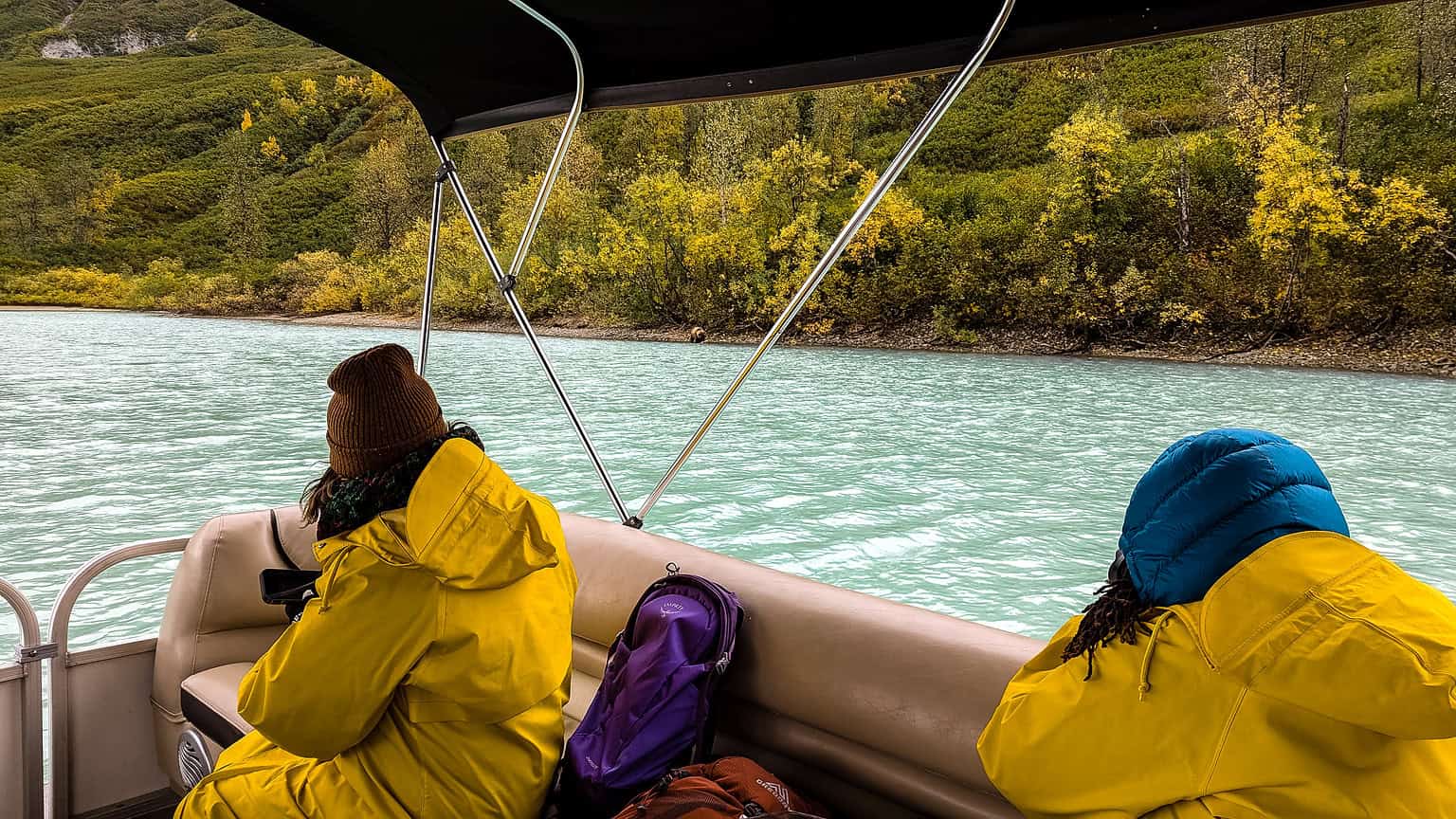 Soar Over Spectacular Landscapes: Your Guide to Bear Viewing in Alaska ...