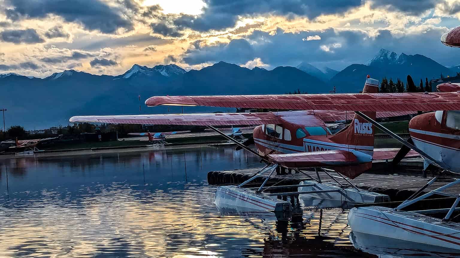 Soar Over Spectacular Landscapes: Your Guide to Bear Viewing in Alaska ...
