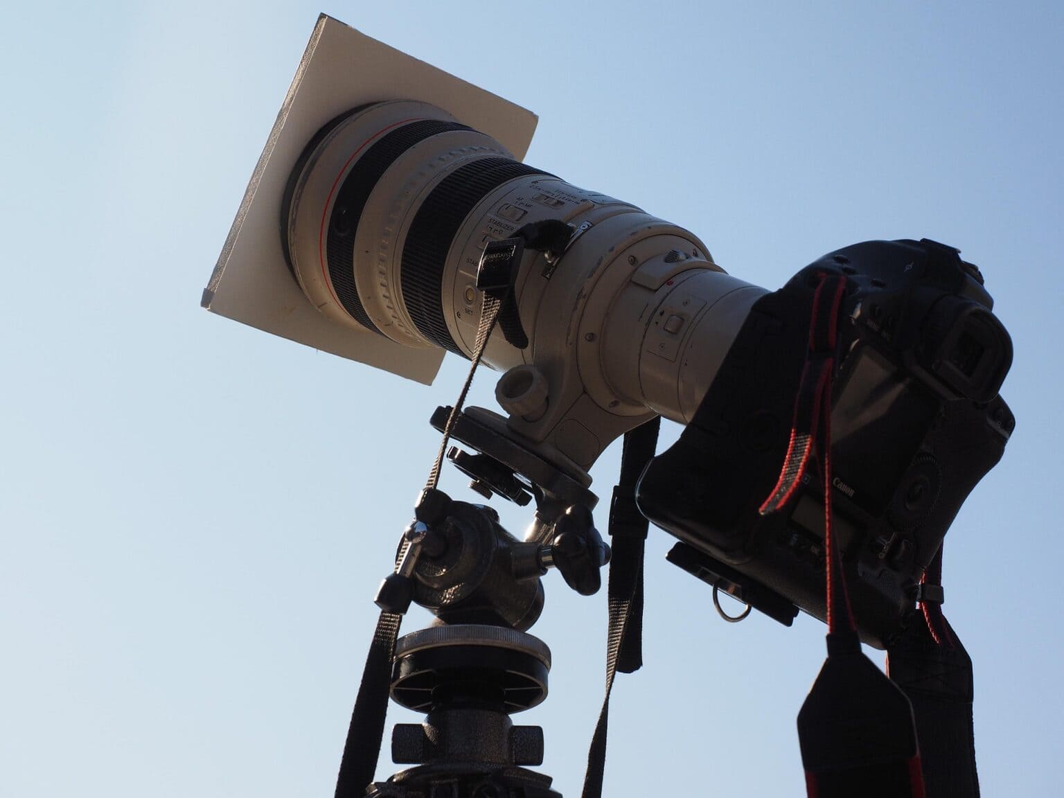 Total Solar Eclipse 2027: Why Egypt Is the Ultimate Viewing Spot ...